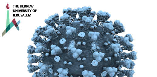 Webinar Series 4: Understanding the Pandemic - Hebrew University ...