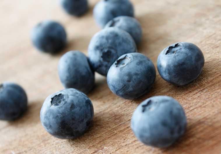 Hebrew U Researchers Show Which Foods Prevent Promote Dementia hebrew-u-researchers-show-which-foods-prevent-promote-dementia