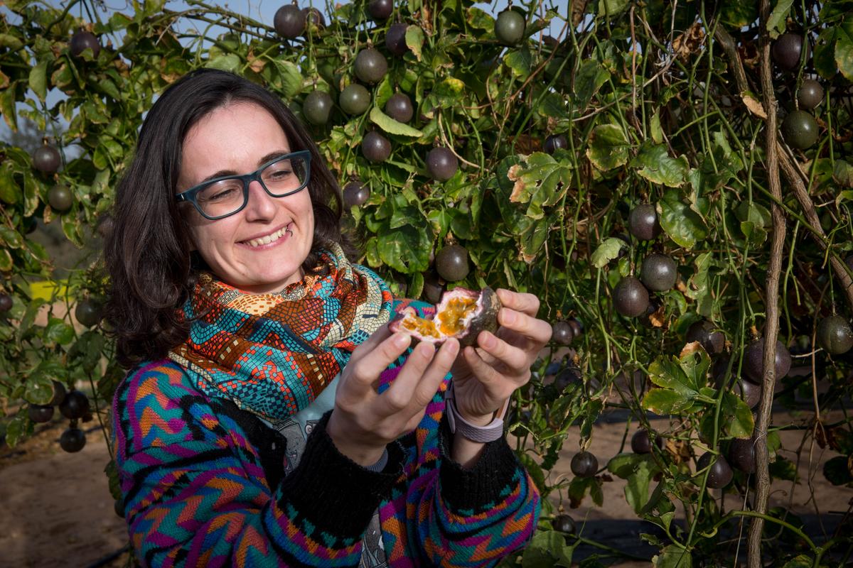 Landing Page - Sustainability Donation - American Friends of the Hebrew ...